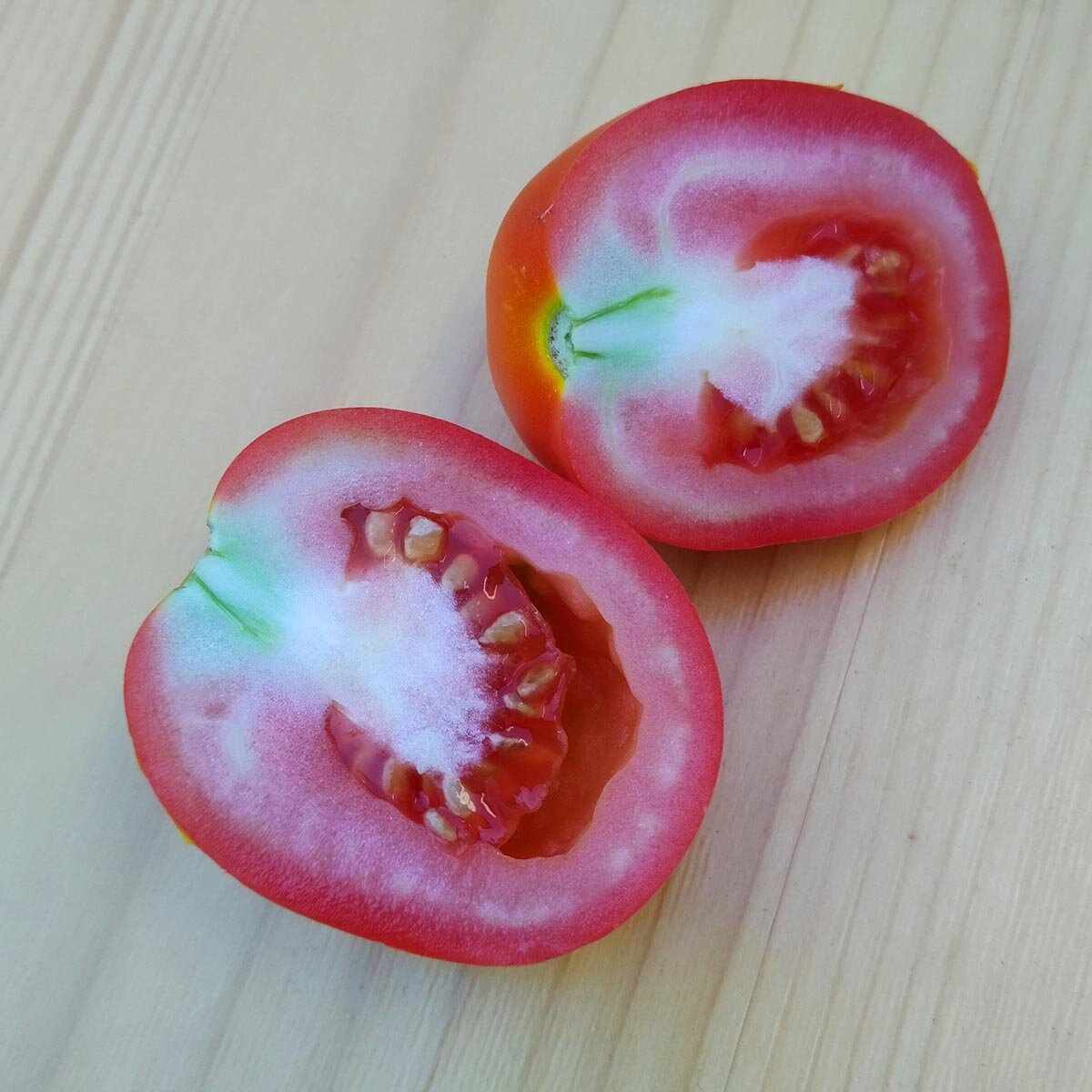 Tomate 'De Berao' (Solanum lycopersicum) Bio Saatgut