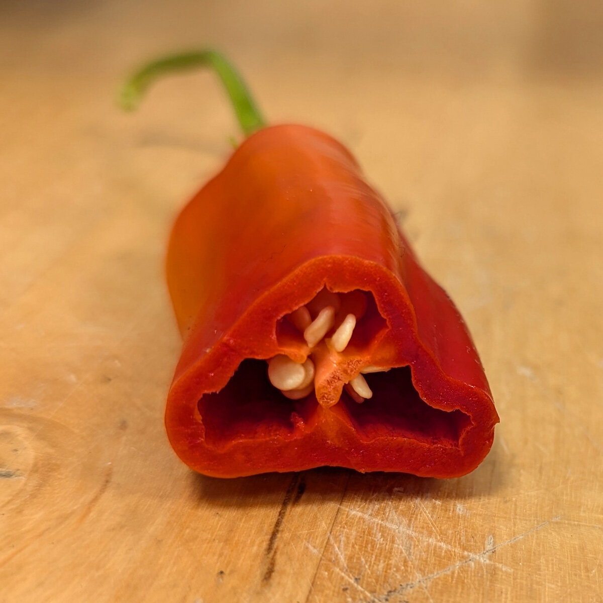 Chili 'Aji Delight' (Capsicum baccatum) Bio-Saatgut