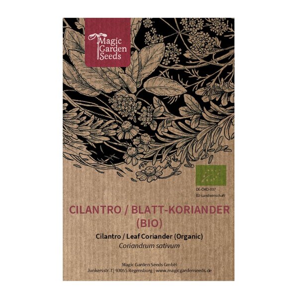 Cilantro / Blatt-Koriander 'Caribe' (Coriandrum sativum) Bio Saatgut